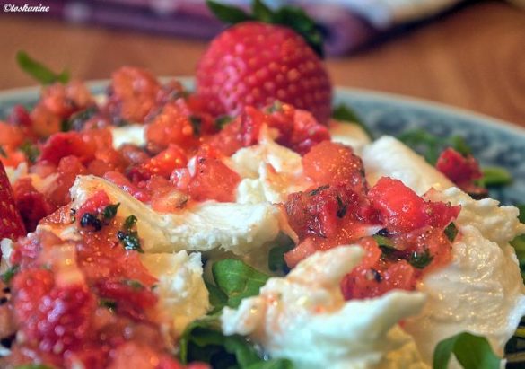Buffalo Mozzarella with Mango and Cucumber Salsa | Chef Reader