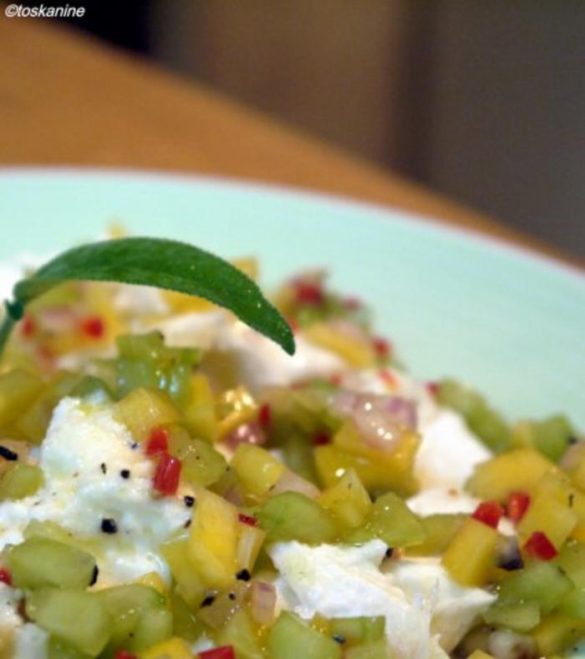 Buffalo Mozzarella with Mango and Cucumber Salsa | Chef Reader