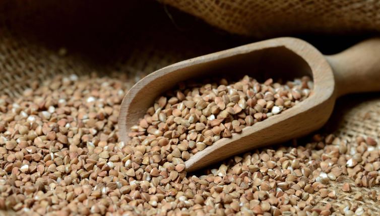 Replacing Wheat: These are The 5 Best Alternatives to Wheat Flour ...