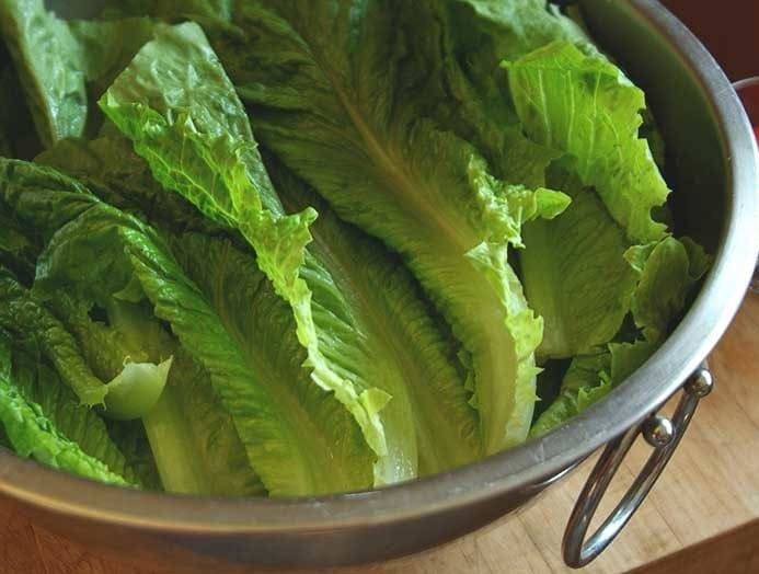 How to Keep Lettuce from Turning Brown | Chef Reader