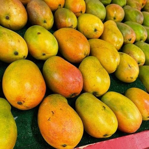 What Do Mangoes Taste Like? | Chef Reader