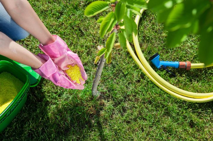 What Fertilizers are Dangerous: The Top 5 Threats to Your Crops | Chef ...