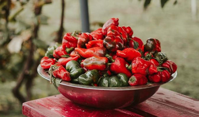 Exploring the Rich Flavor of Authentic Mexican Chili | Chef Reader