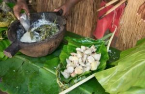 What are some traditional dishes in Solomon Islands cuisine? | Chef Reader
