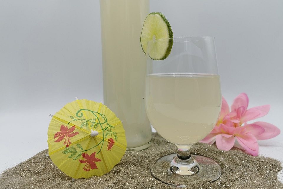 Caribbean Ginger Beer (alcohol-free) | Chef Reader